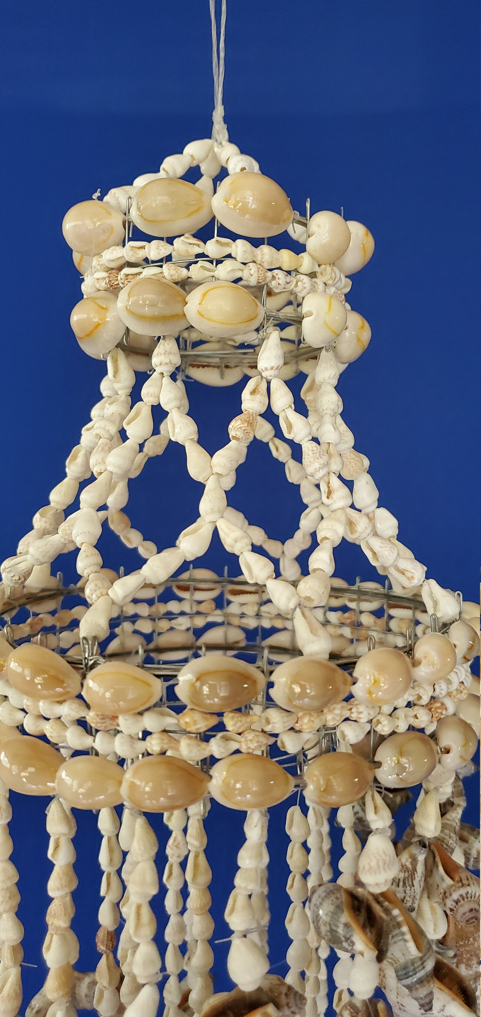 24 Chula Seashell Chandelier | Etsy