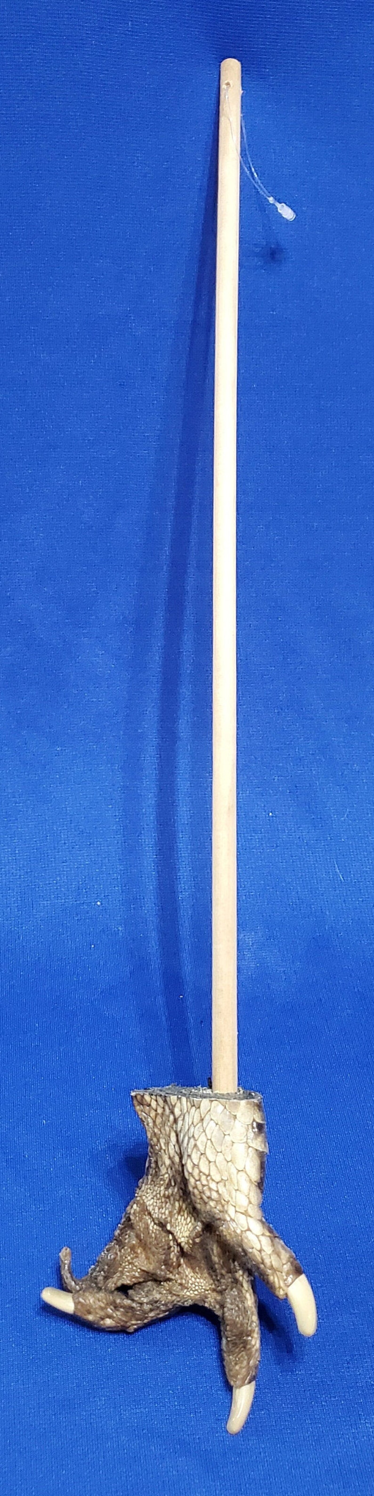 Alligator Claw Backscratcher - Etsy