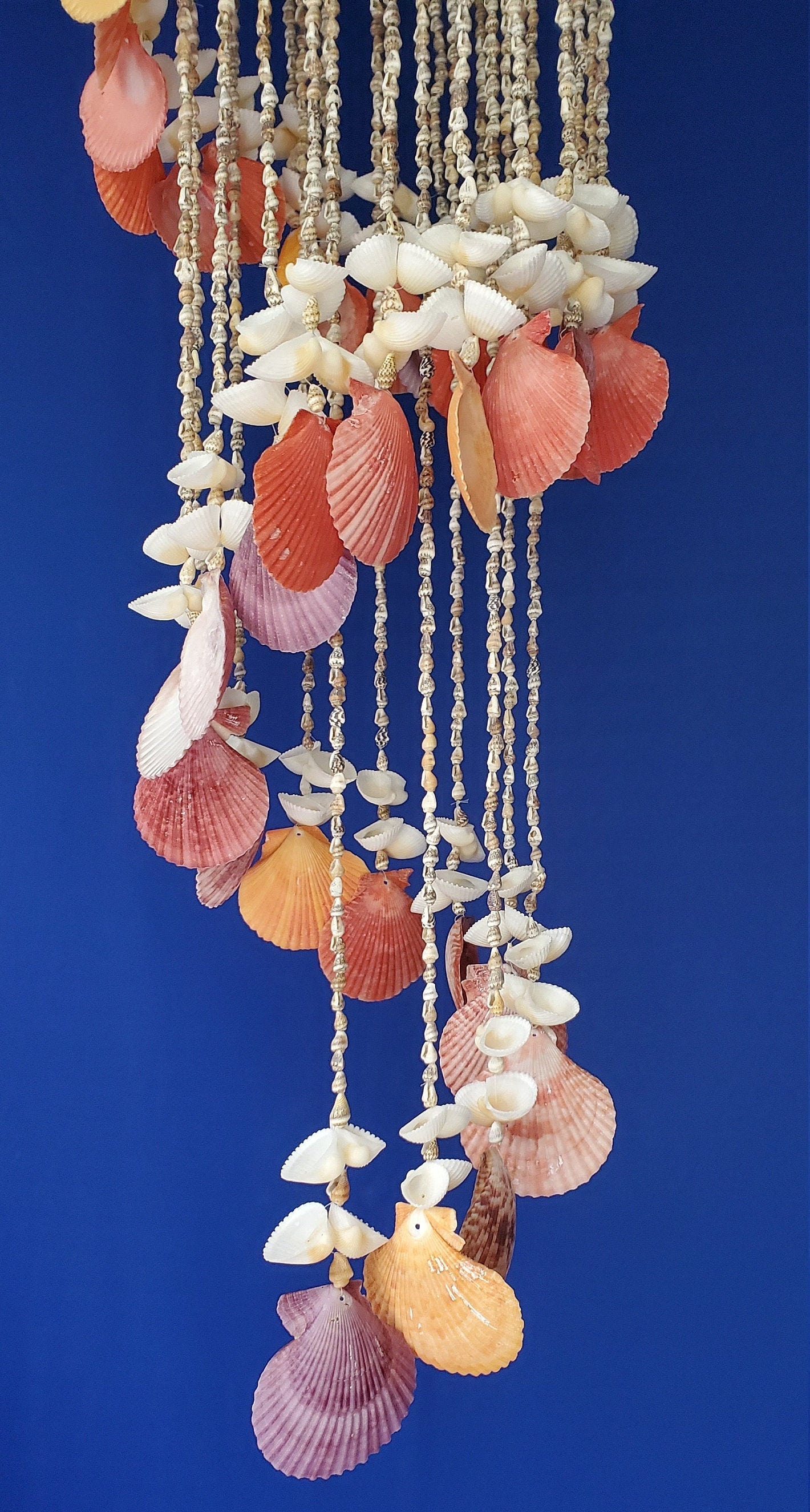 Shell Chandelier With Scallop Sea Shells - Etsy