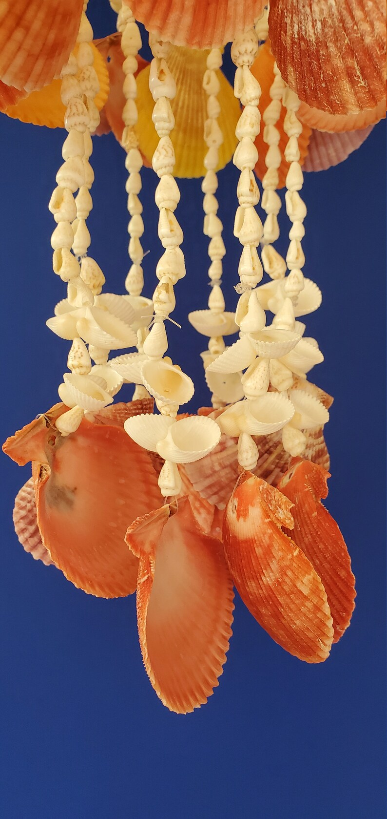 16 2 Tiered Scallop Seashell Chandelier | Etsy