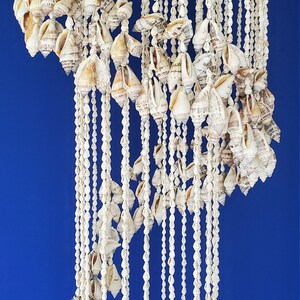 CUSTOMER FAVORITE 54" Chula Shell Chandelier - Etsy