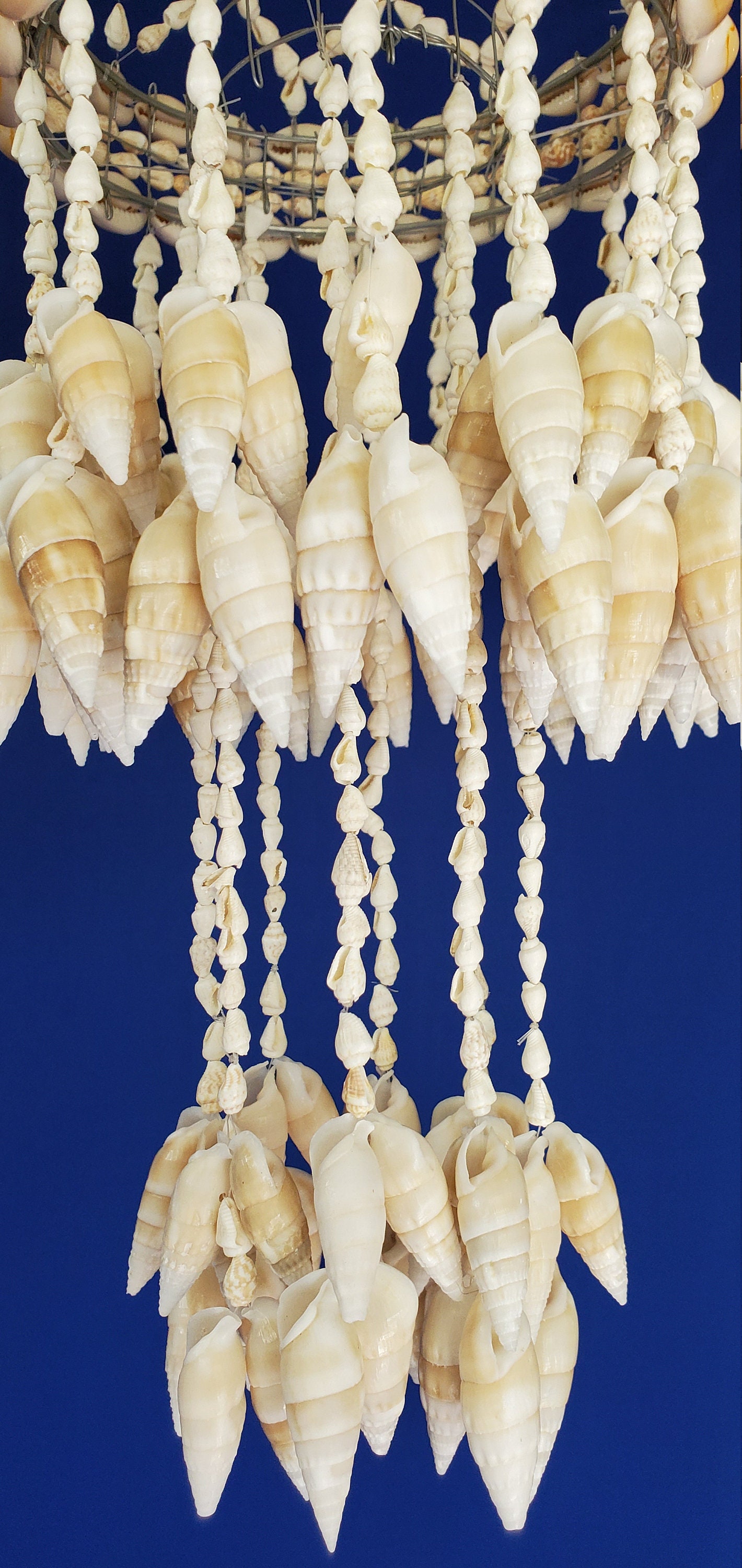 2 Tiered Seashell Chandelier | Etsy