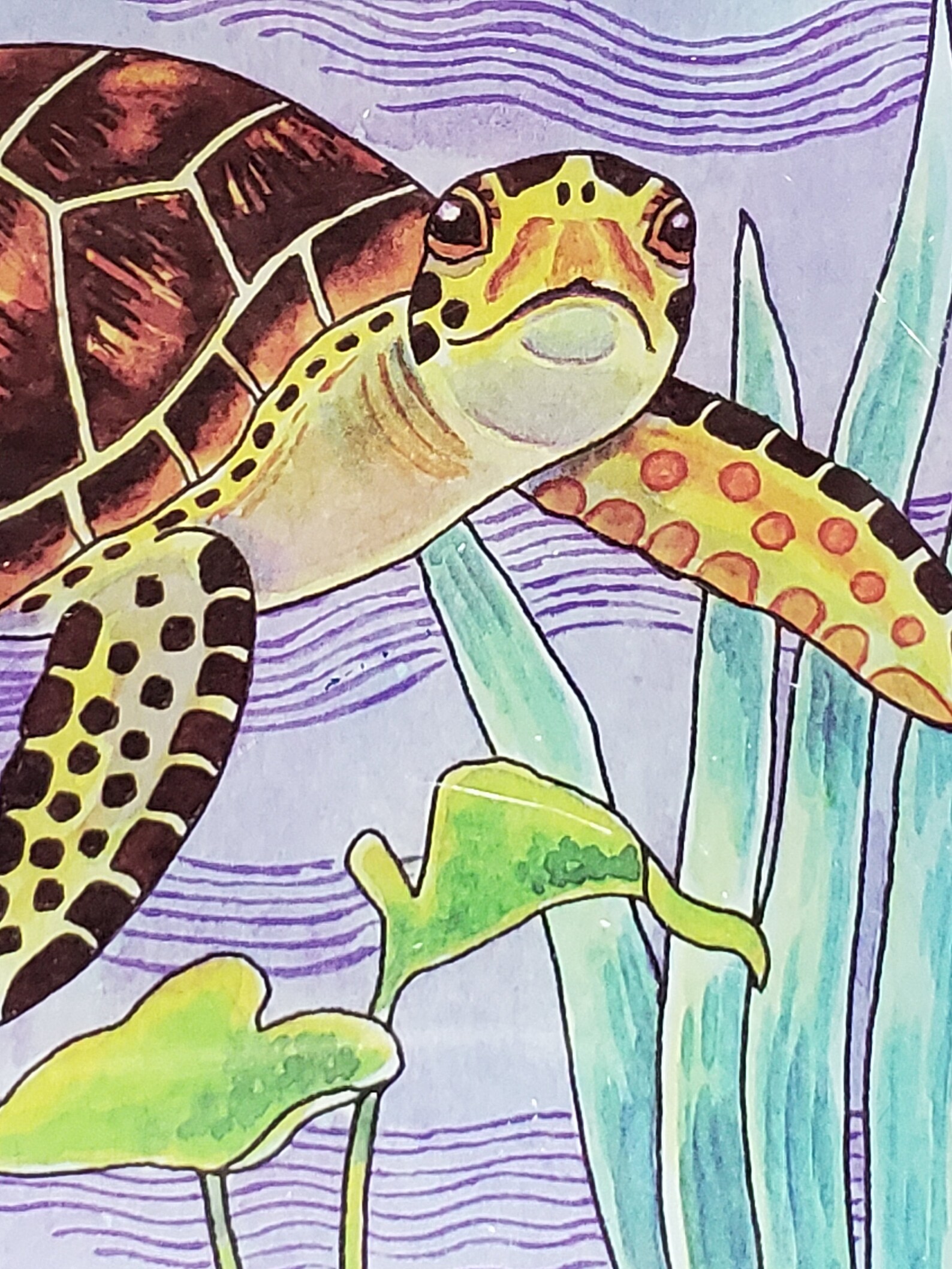 Sea Turtle Decorative Plate - Etsy UK