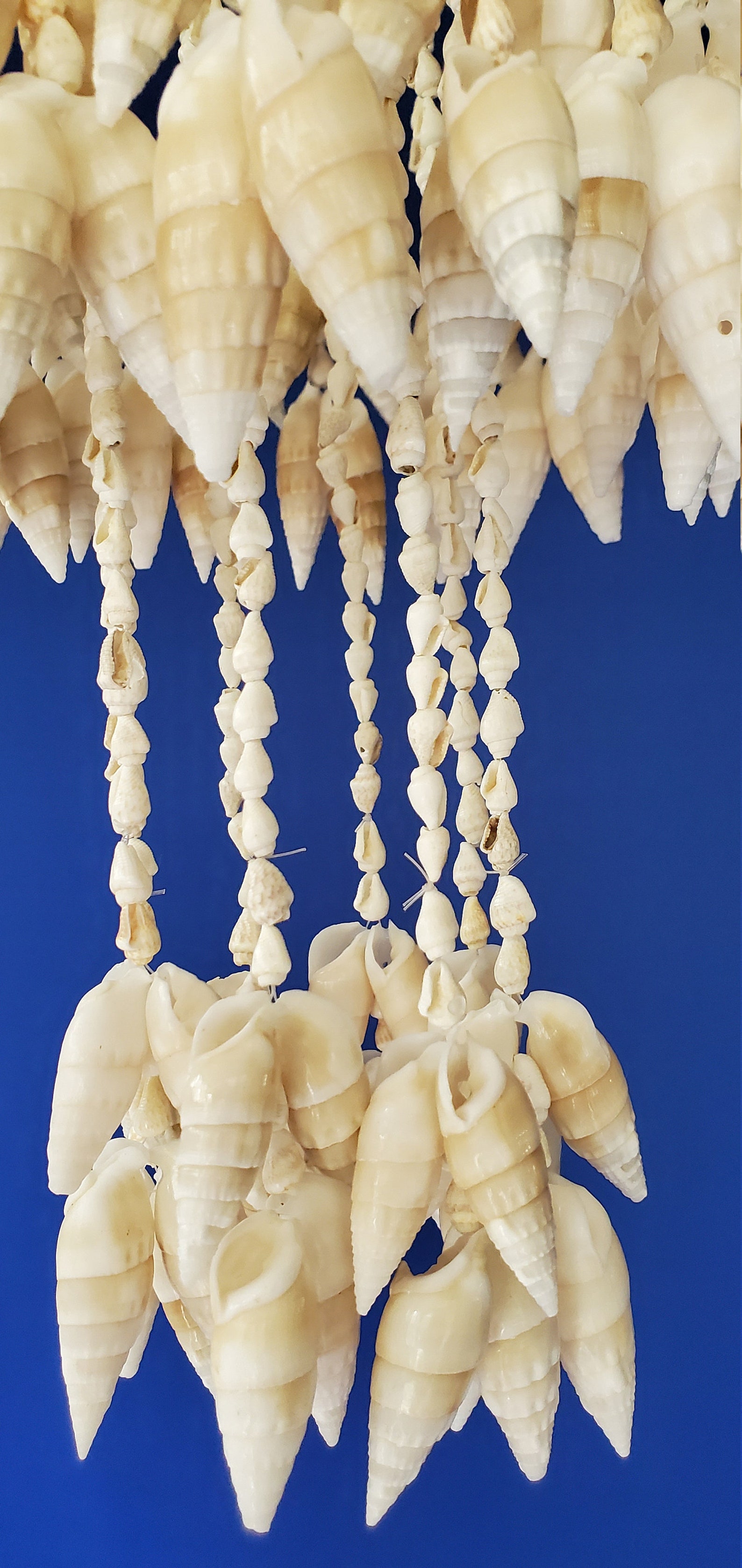 2 Tiered Seashell Chandelier - Etsy