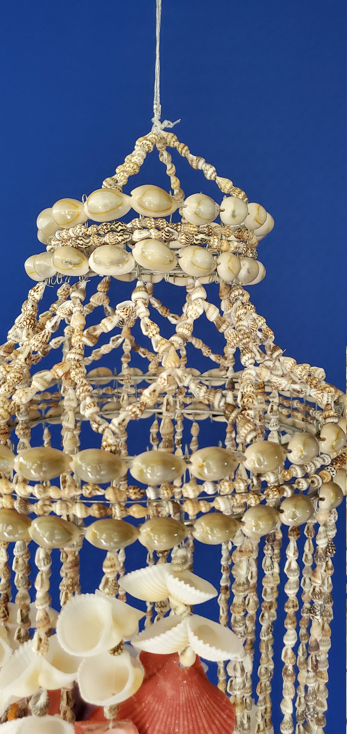 Shell Chandelier With Scallop Sea Shells - Etsy