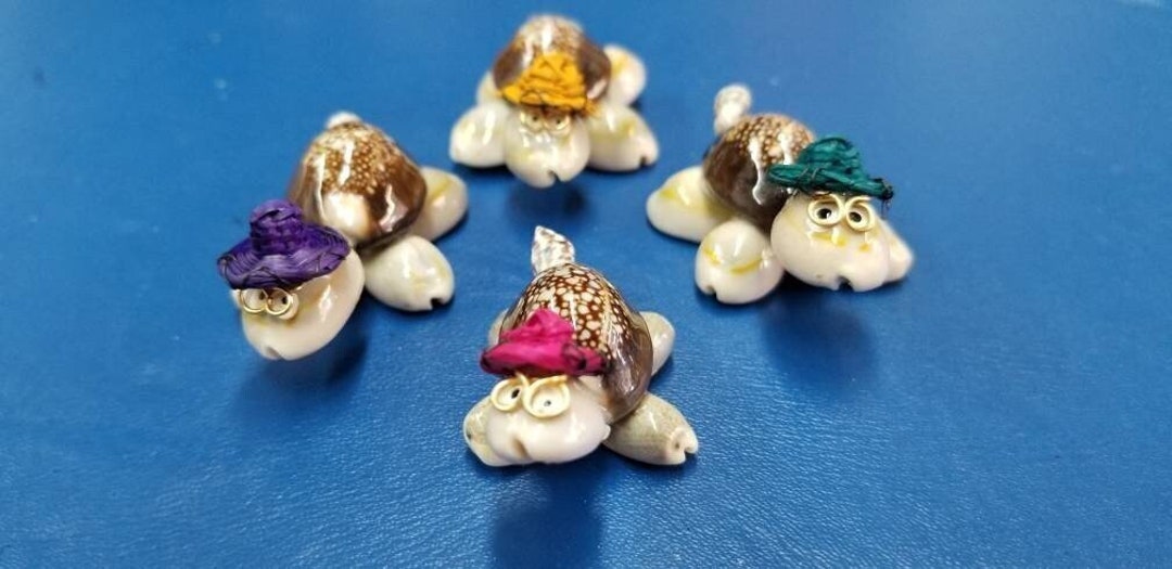 Seashell Turtle With Hat: Handmade USA - Etsy