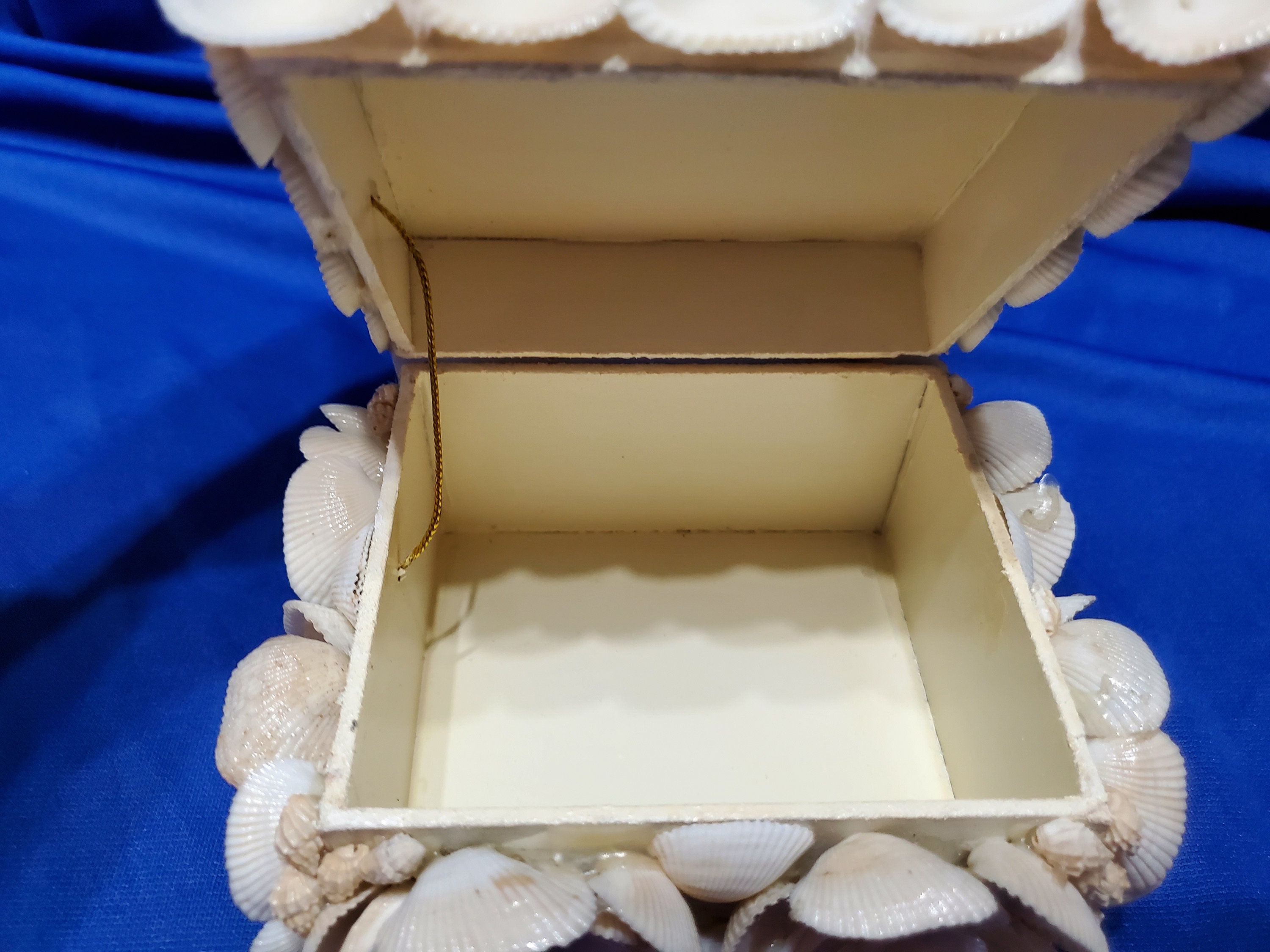 White Rose Clams Seashell Jewelry Box | Etsy