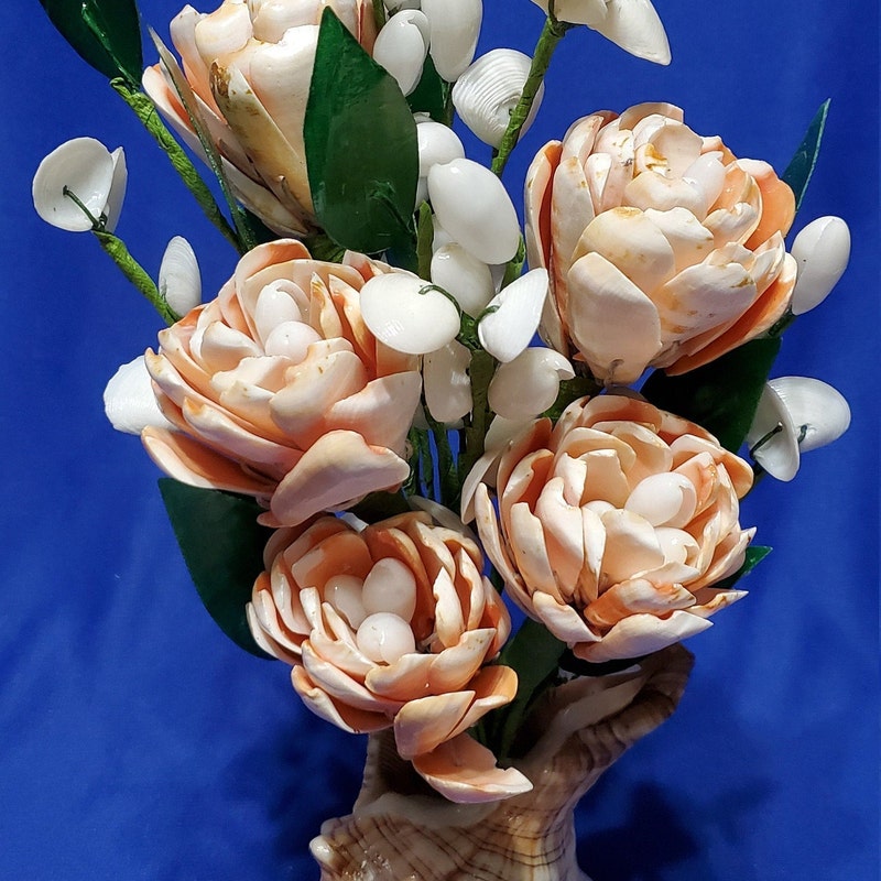 Shell Arrangements - Etsy