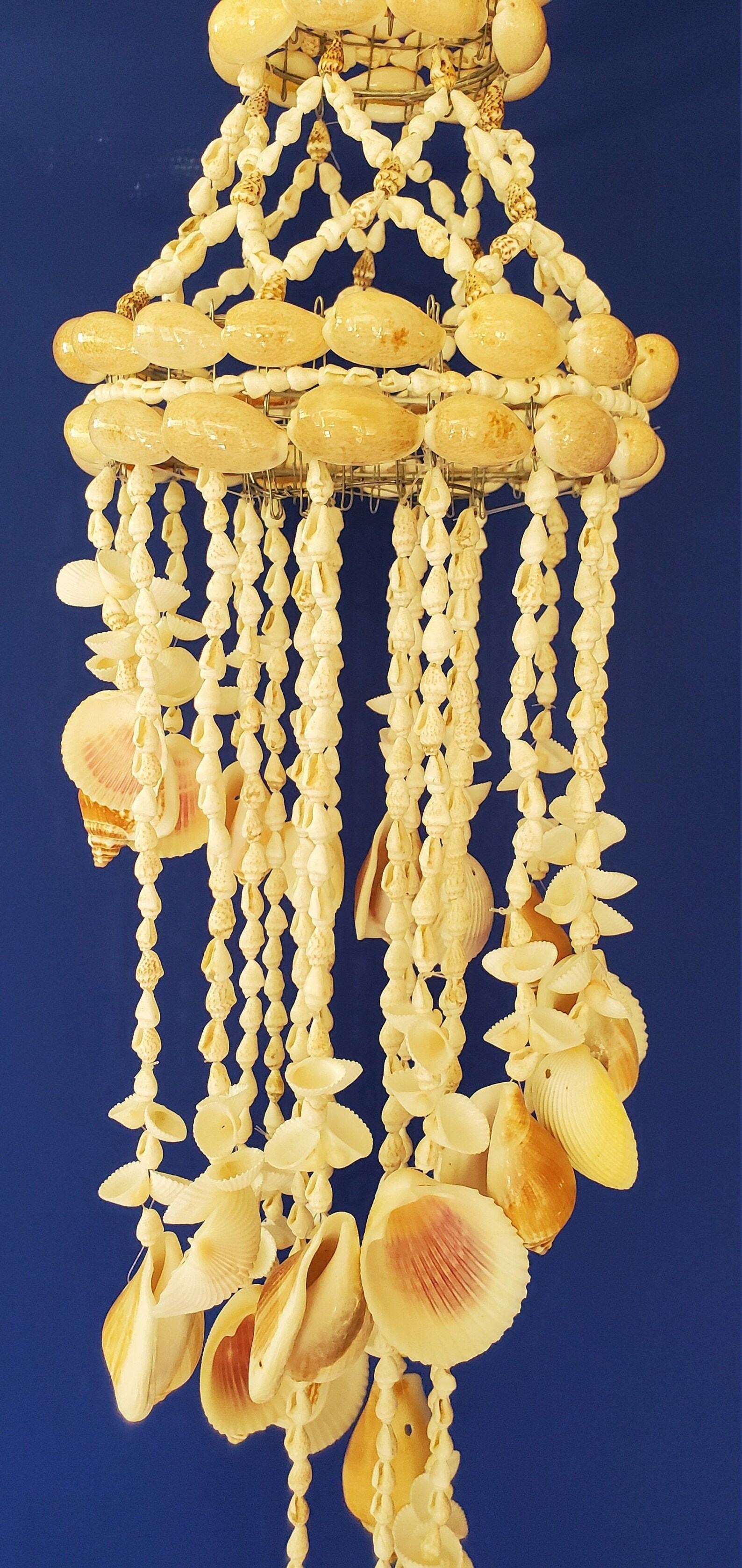 24 Spiral Chunky Seashell Chandelier | Etsy