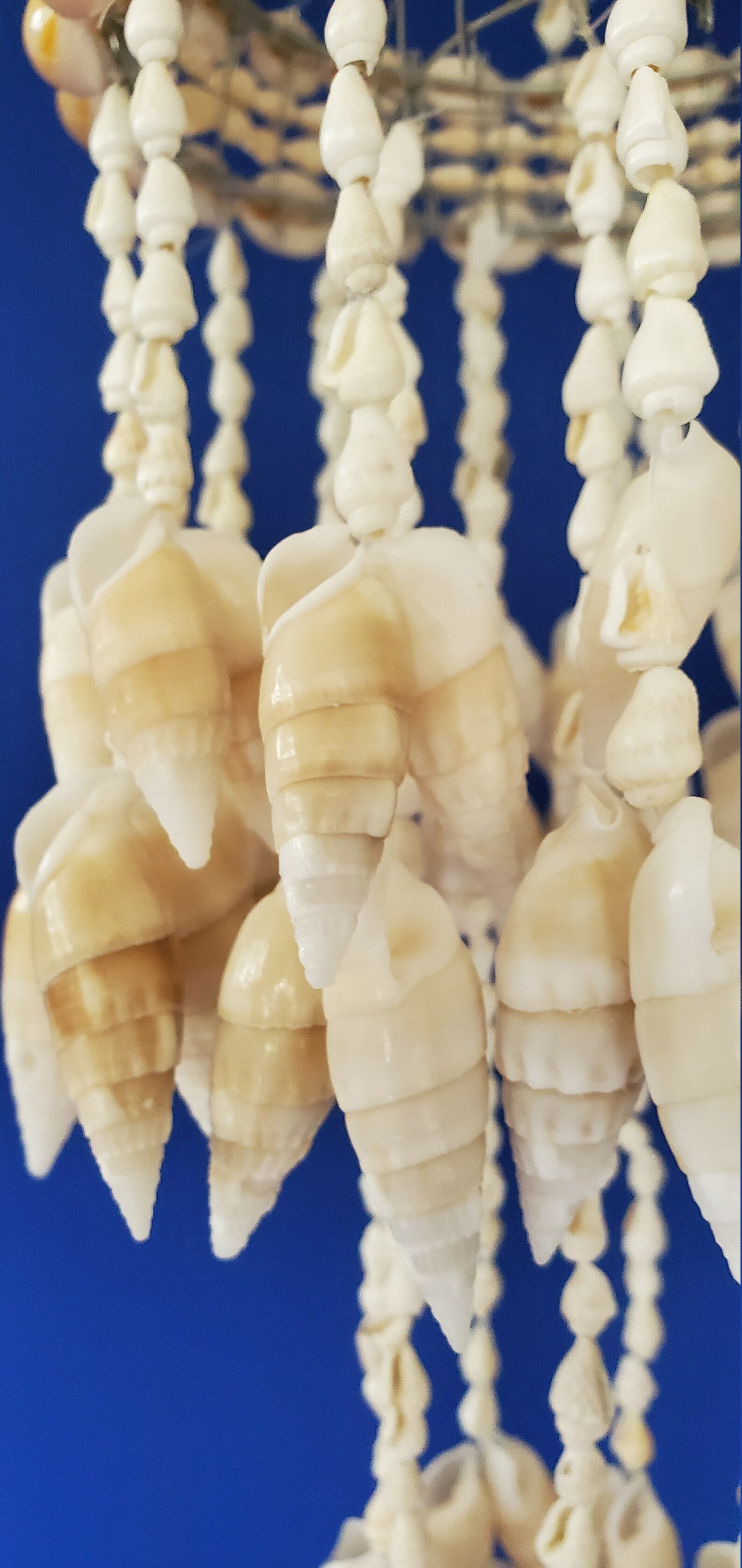 2 Tiered Seashell Chandelier - Etsy