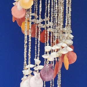 Shell Chandelier With Scallop Sea Shells - Etsy
