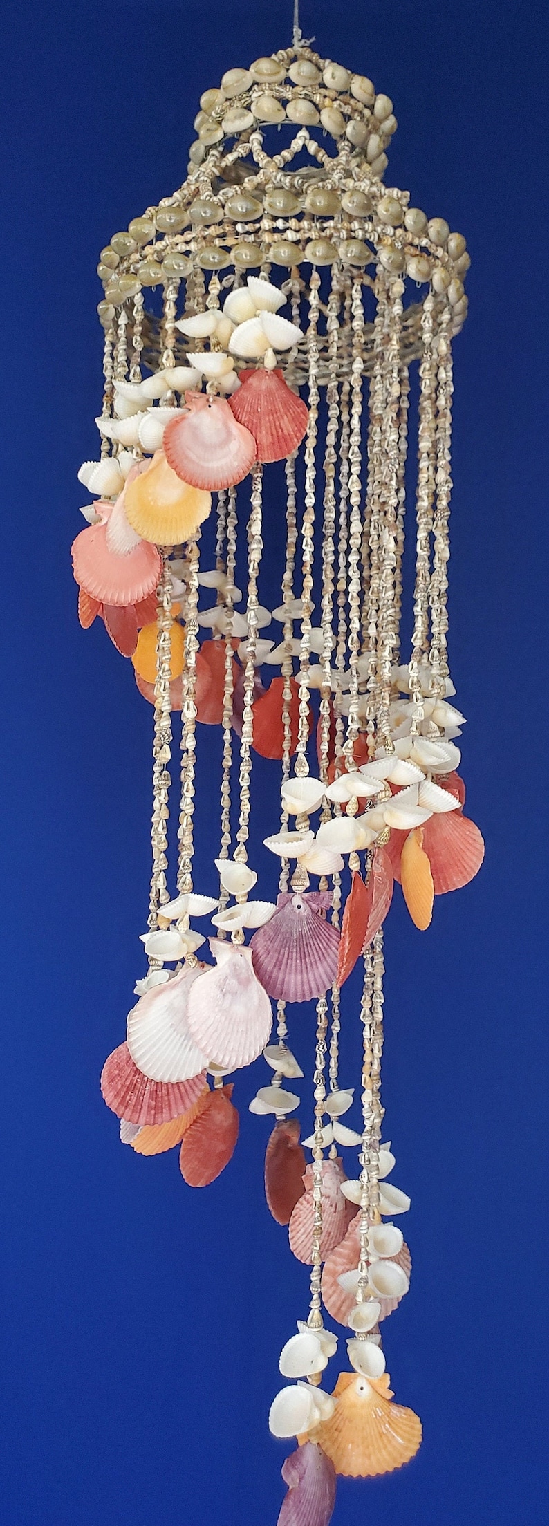 Shell Chandelier With Scallop Sea Shells - Etsy
