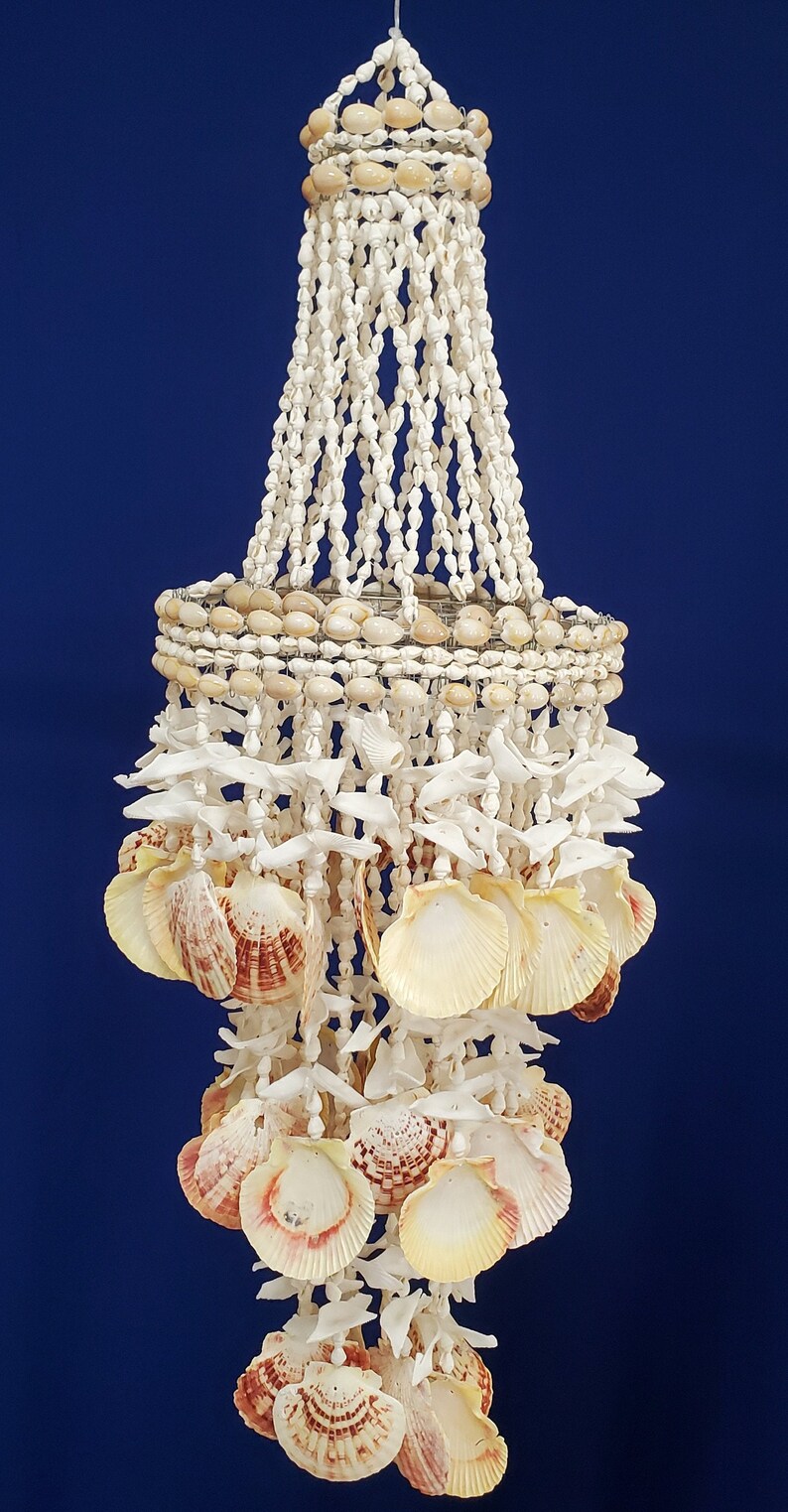 Shell Chandelier With Pectin Sea Shells | Etsy