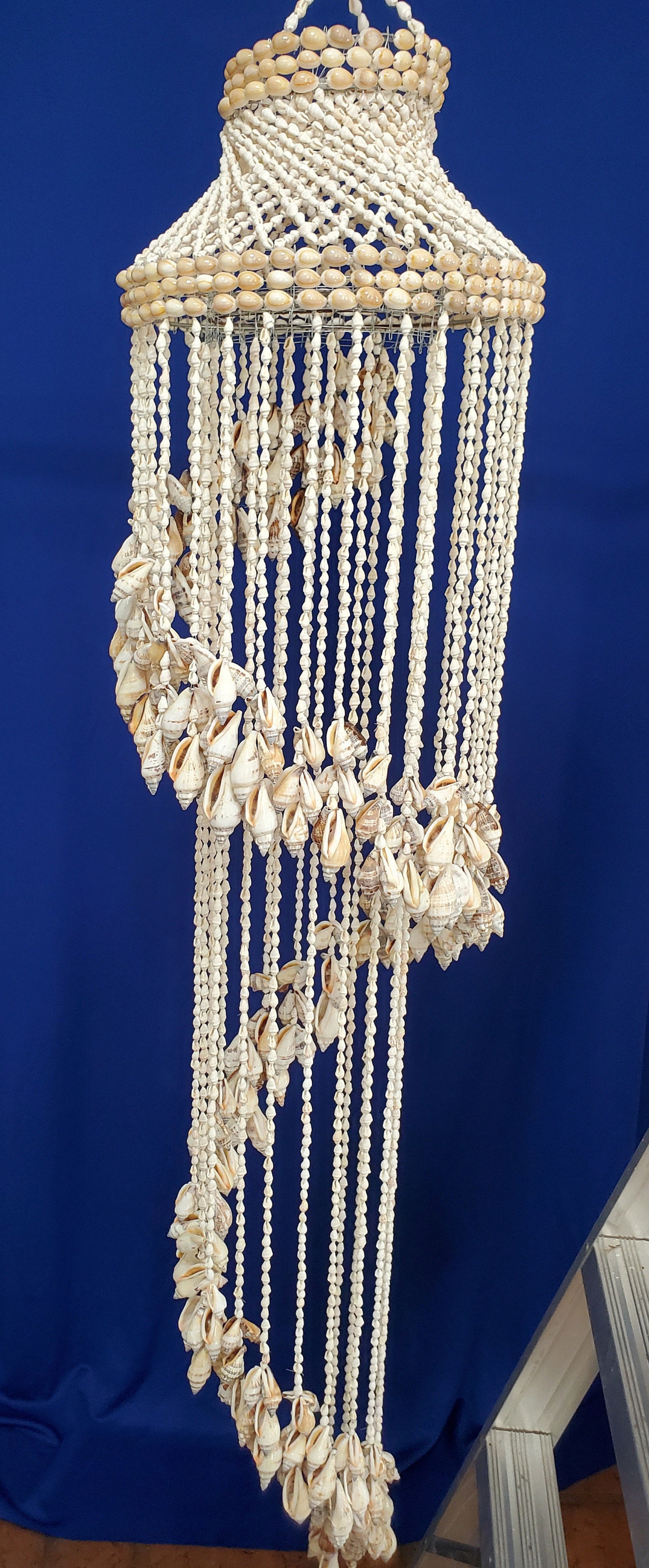 CUSTOMER FAVORITE 54" Chula Shell Chandelier - Etsy