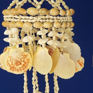 16" 2 Tiered Pectin Seashell Chandelier - Etsy