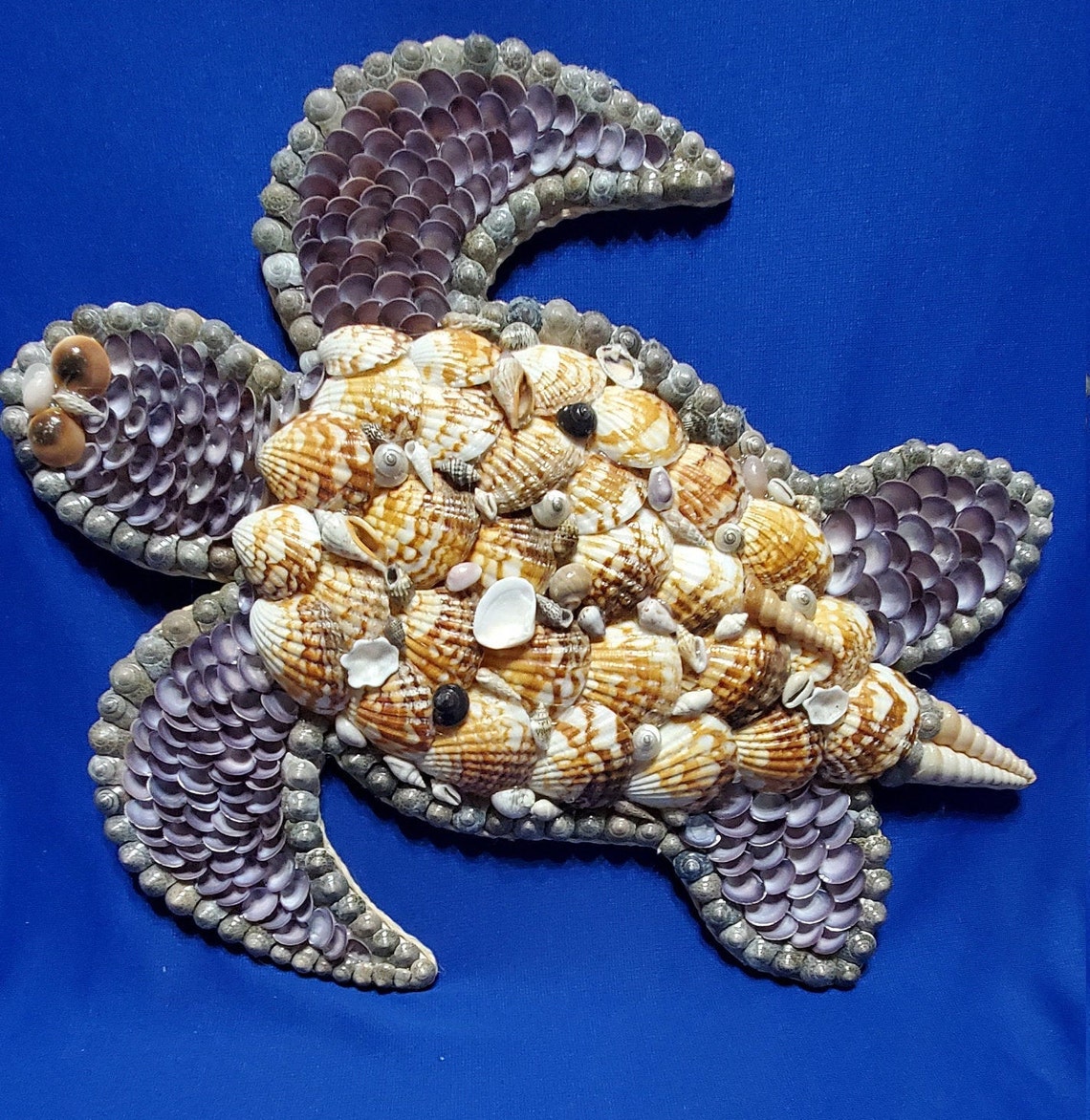 Seashell Sea Turtle Wall Decoration | Etsy