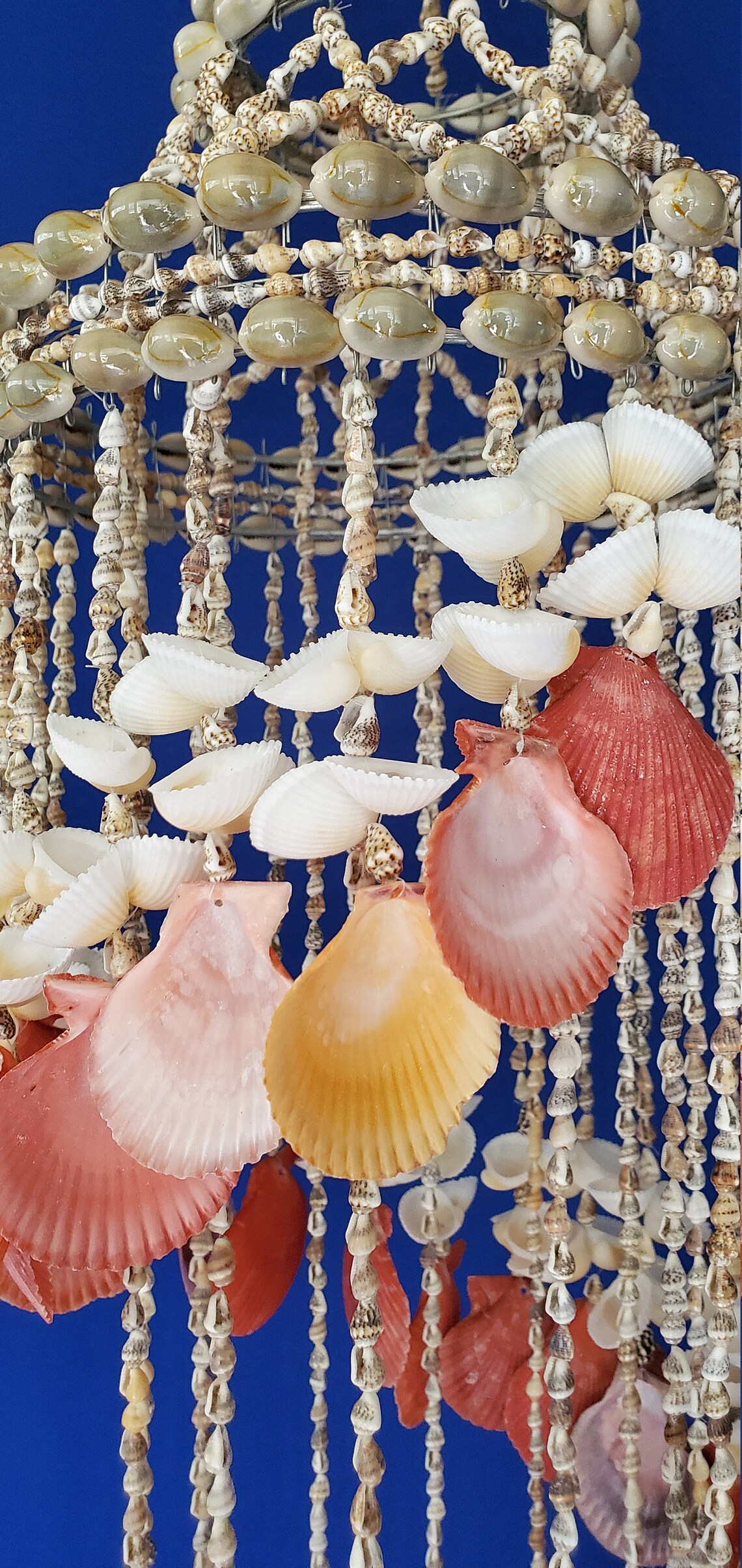 Shell Chandelier With Scallop Sea Shells - Etsy