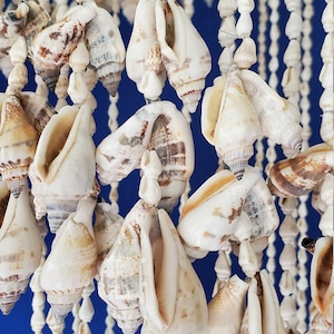 CUSTOMER FAVORITE 54" Chula Shell Chandelier - Etsy