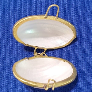 Silver Turbo Seashell Pill Box - Etsy