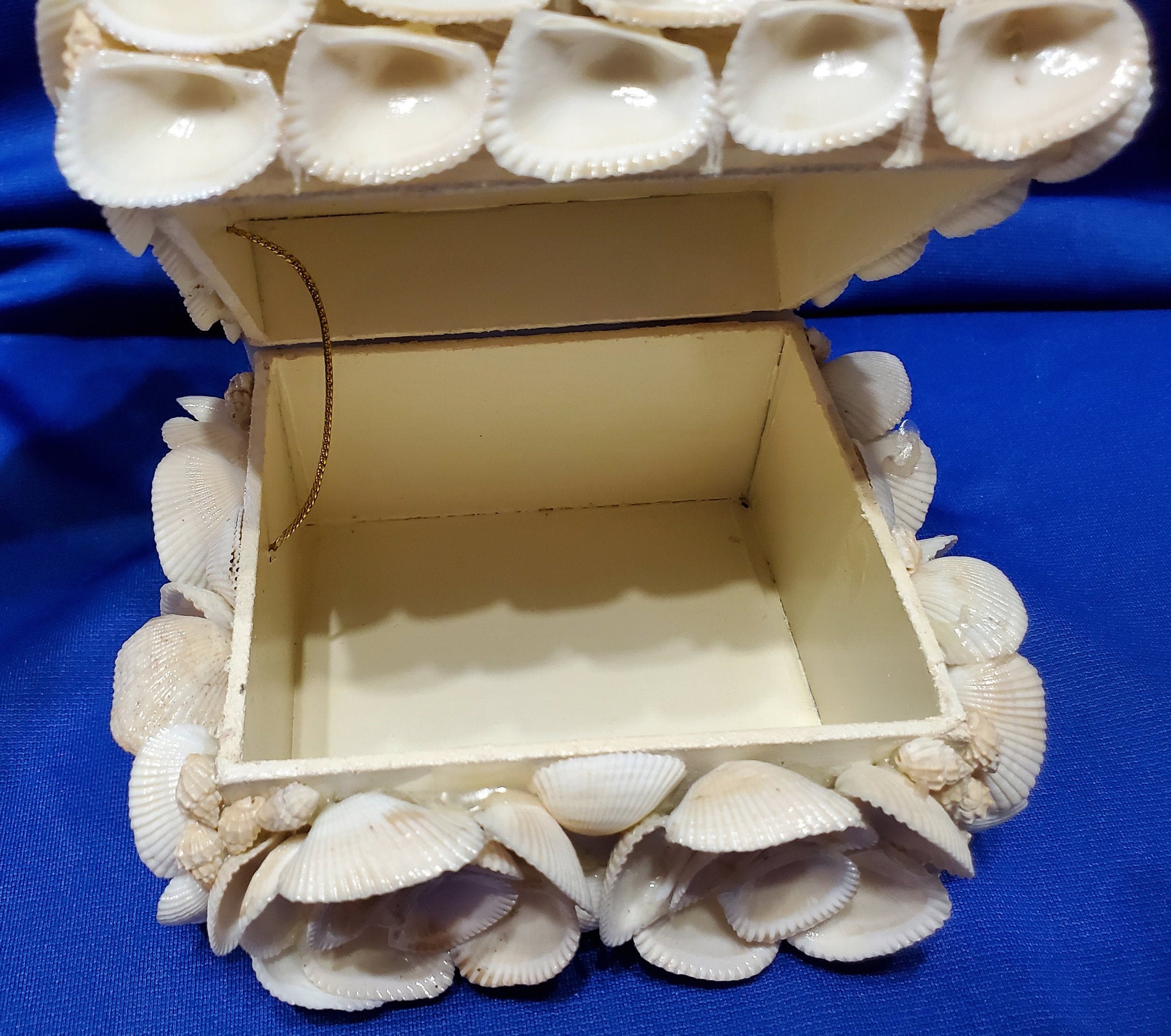White Rose Clams Seashell Jewelry Box | Etsy