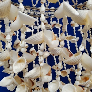 Shell Chandelier With Moon Shells - Etsy