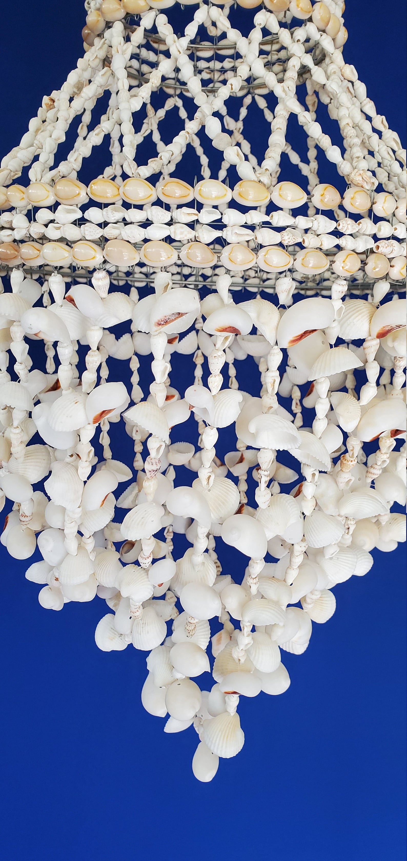 Shell Chandelier With Moon Shells - Etsy