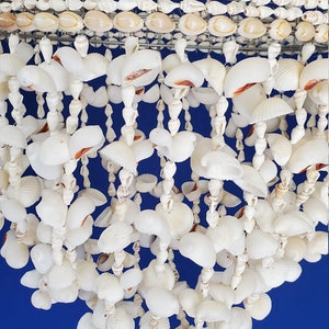Shell Chandelier With Moon Shells - Etsy