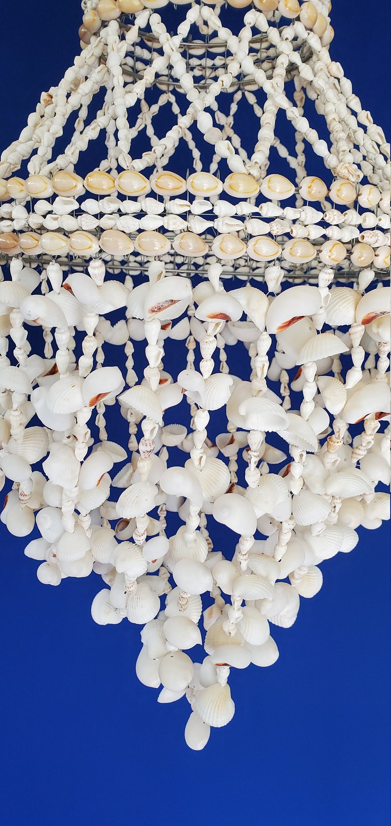 Shell Chandelier With Moon Shells - Etsy