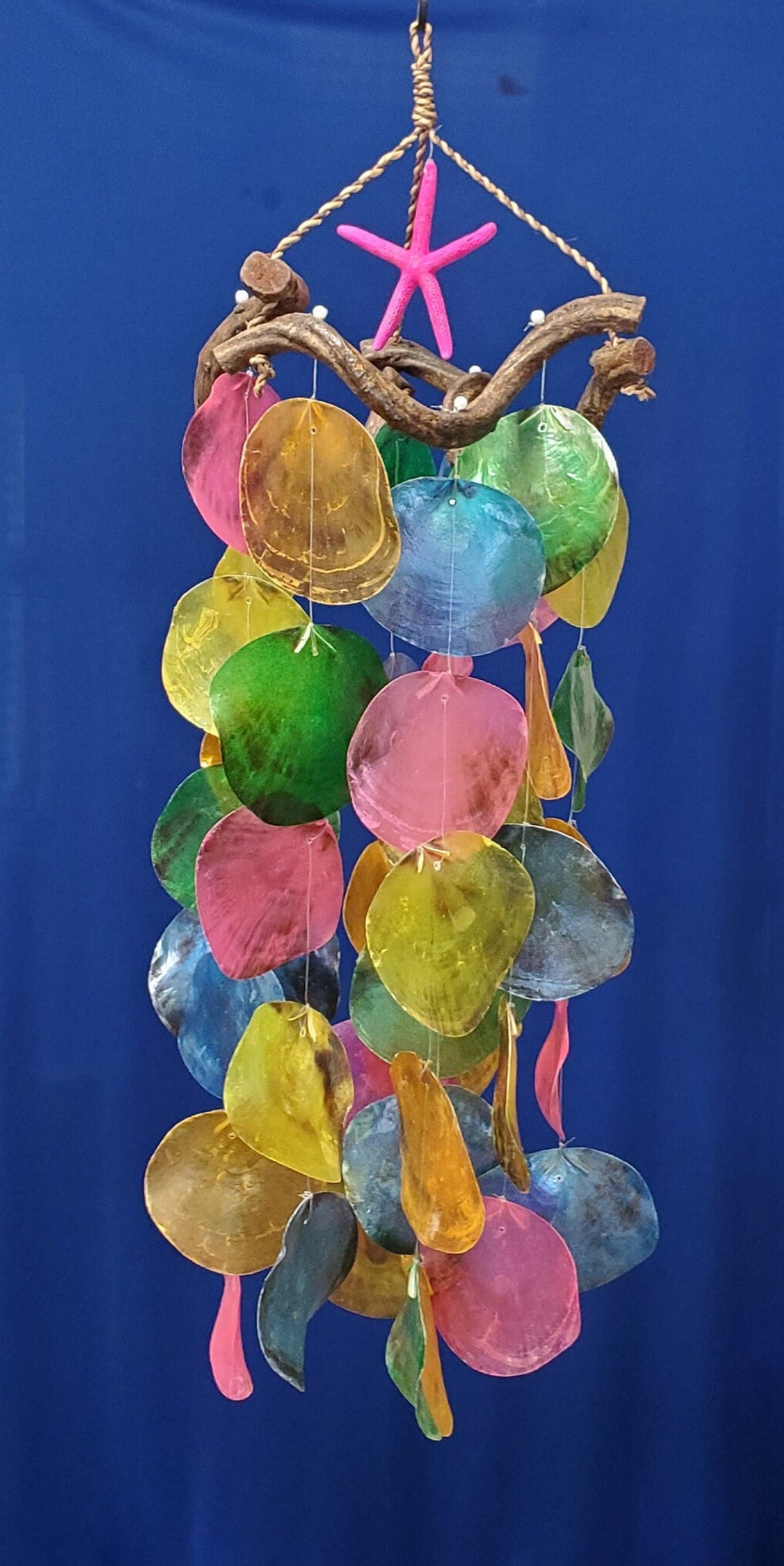 Vine Top Placuna Seashell Chandelier - Etsy
