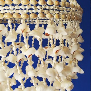 Shell Chandelier With Moon Shells - Etsy