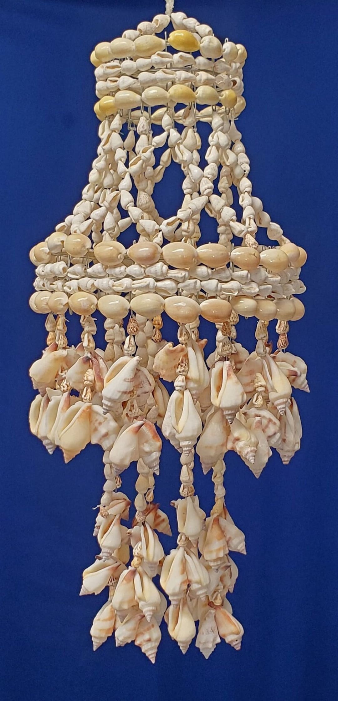 Two Tiered Chulla Seashells - Etsy