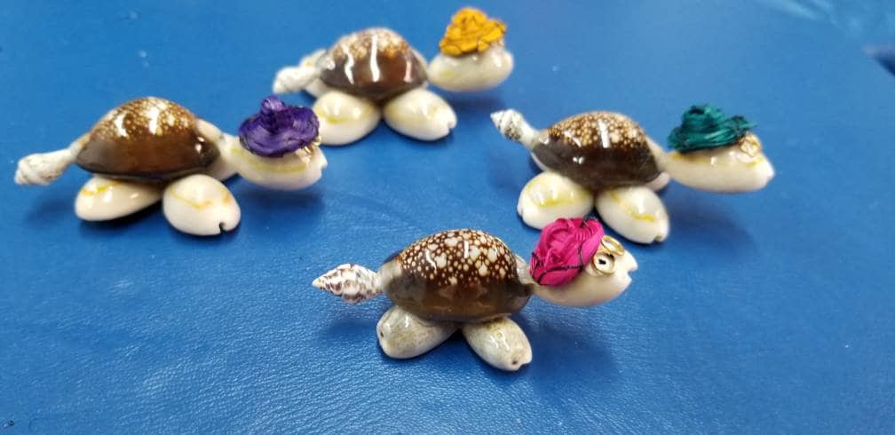 Seashell Turtle - Etsy