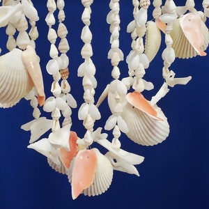 Dream Catcher Moon Shells and Rose Cockle Sea Shell Chandelier - Etsy