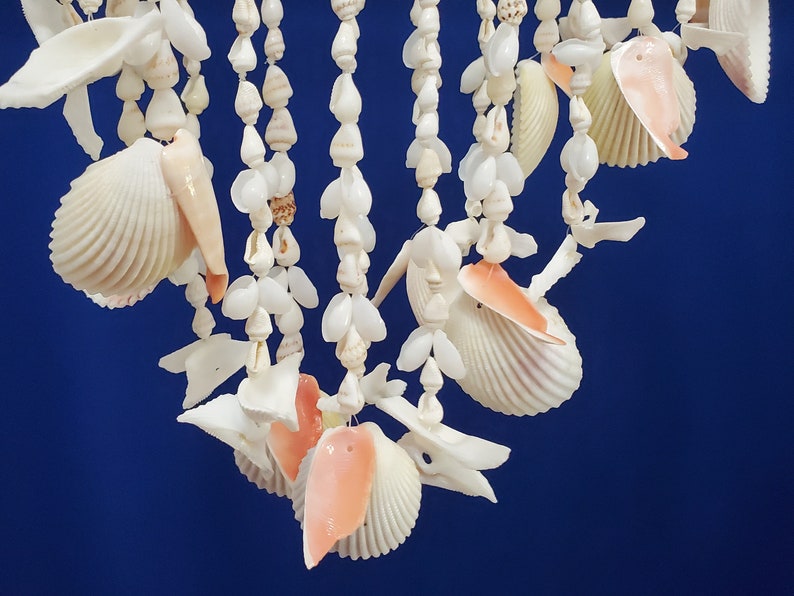 Dream Catcher Moon Shells and Rose Cockle Sea Shell Chandelier - Etsy