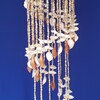 34 Pectin Seashell Stairway Chandelier - Etsy