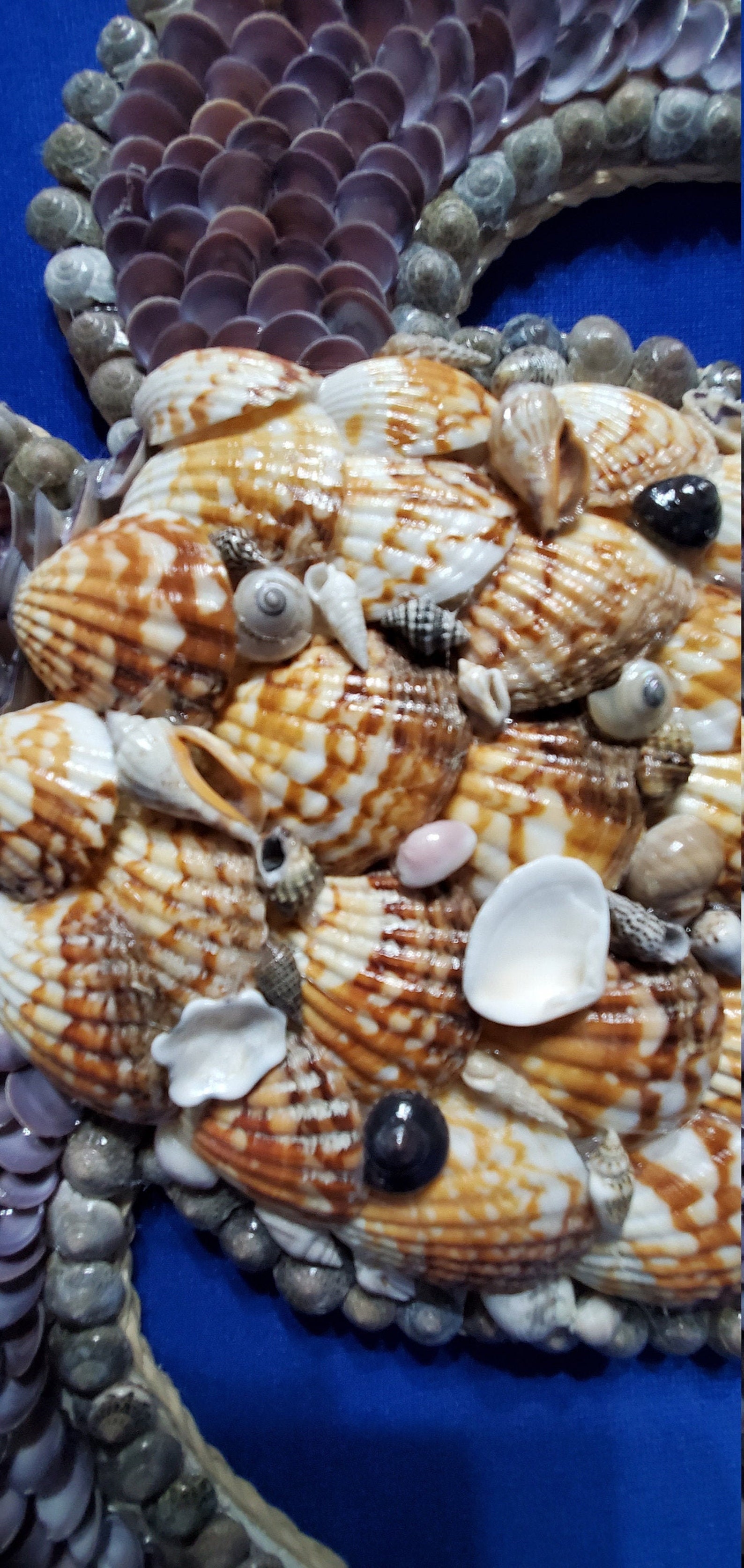 Seashell Sea Turtle Wall Decoration | Etsy