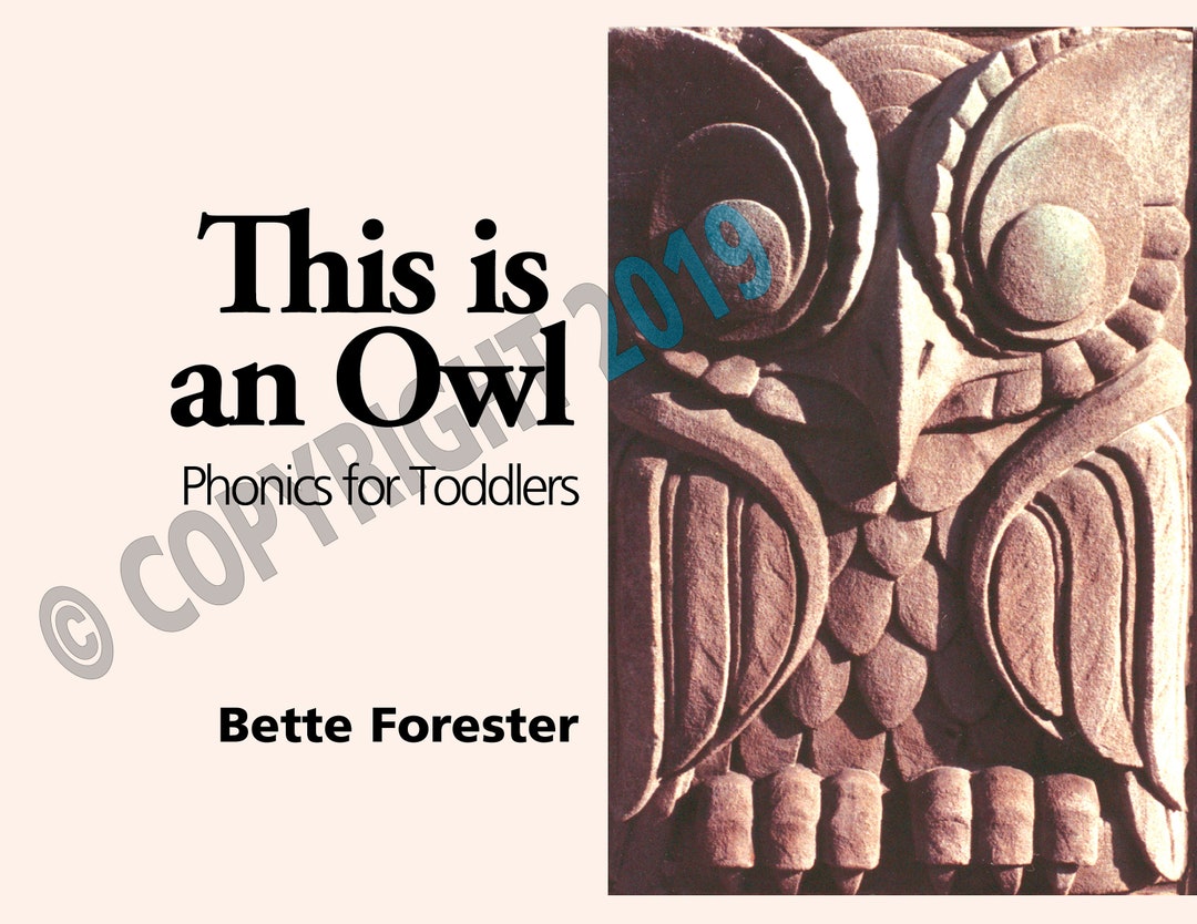 This is an Owl: Flip Book - Etsy