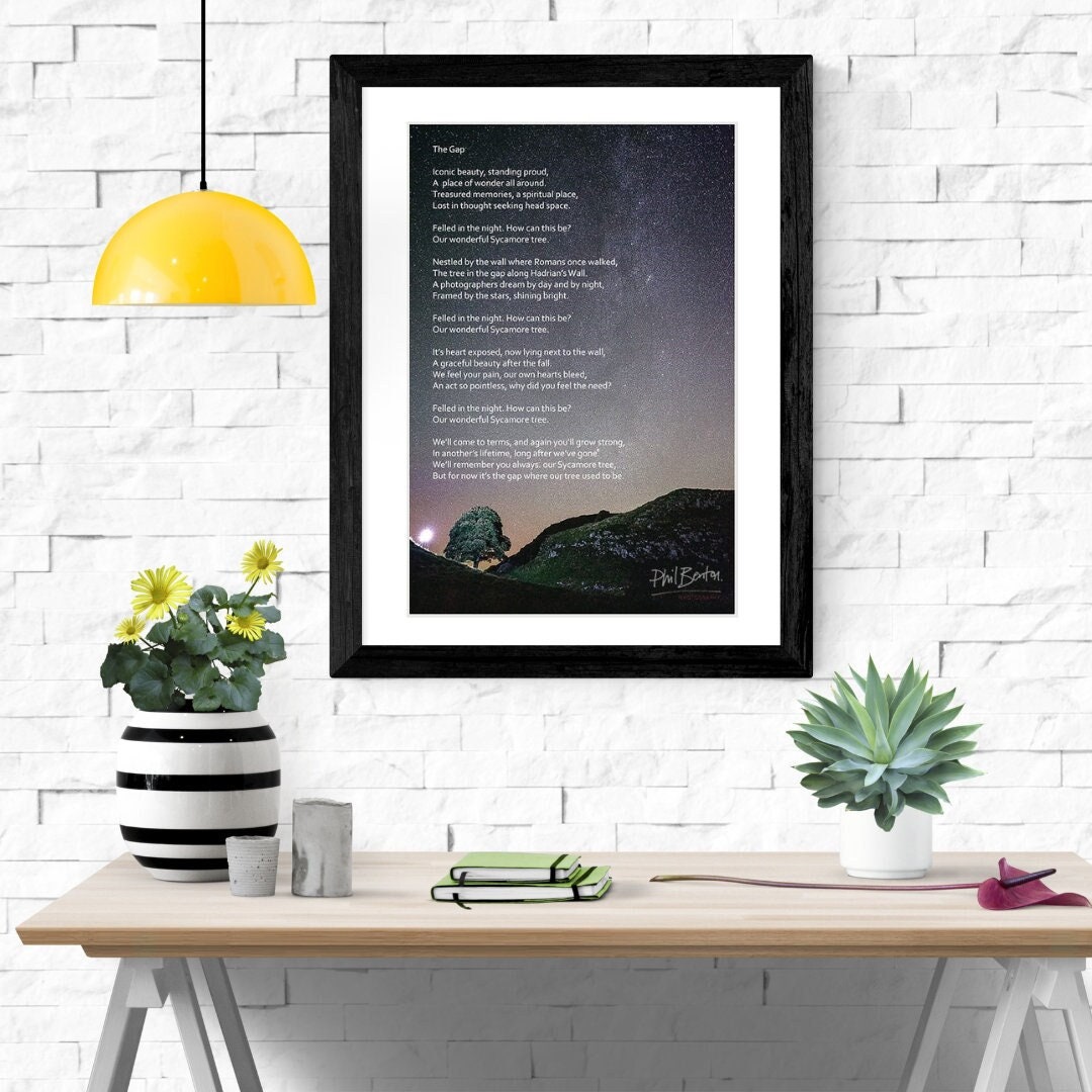 Sycamore Gap Poem Tribute 20x16in Mounted Print Limited Edition Wall ...