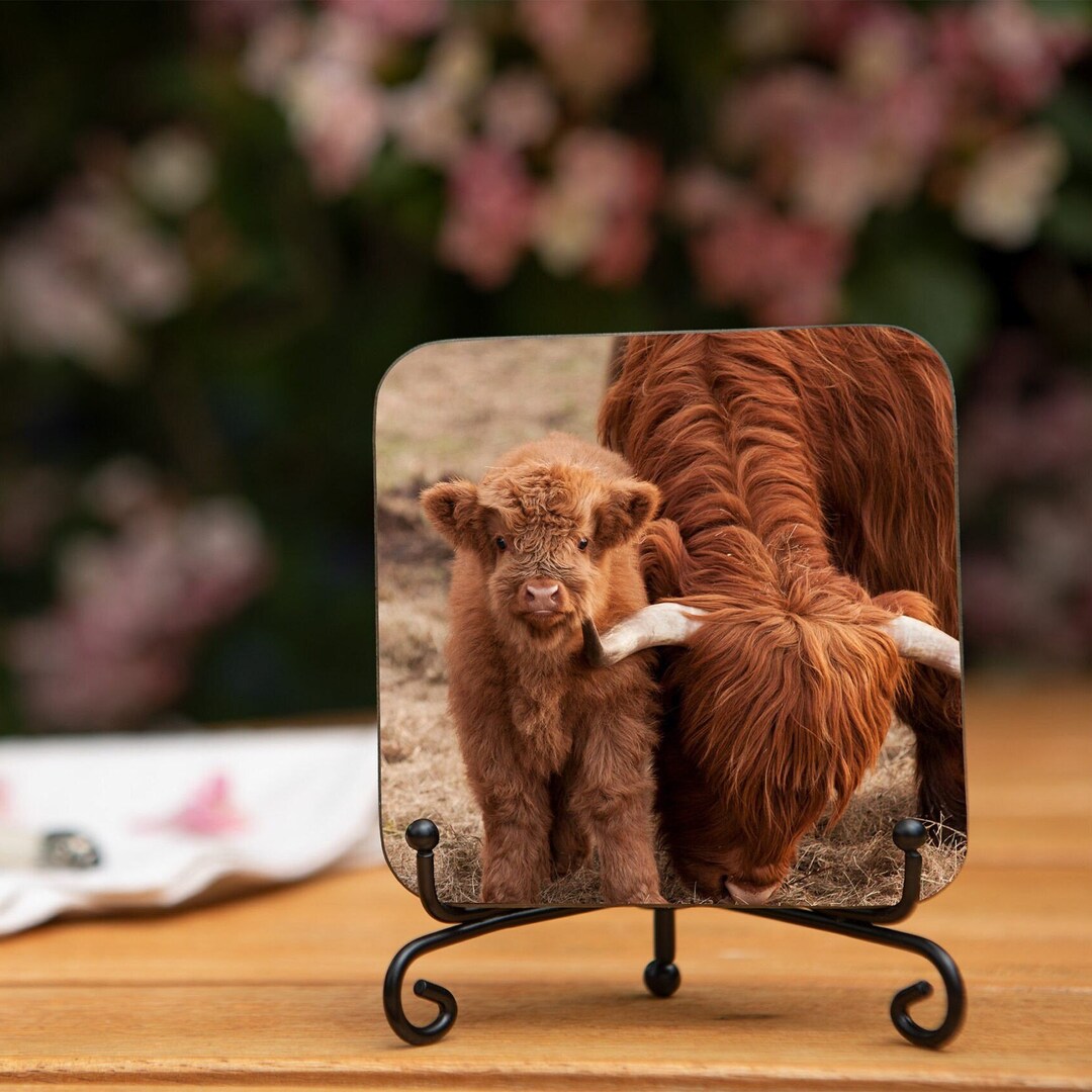 Highland Cow and Calf - the Wee Man Coaster – Wooden Drink Coaster ...