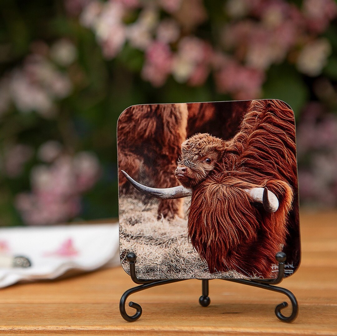 Highland Cow and Calf Coaster - Lean on Me – Wooden Drink Coaster ...