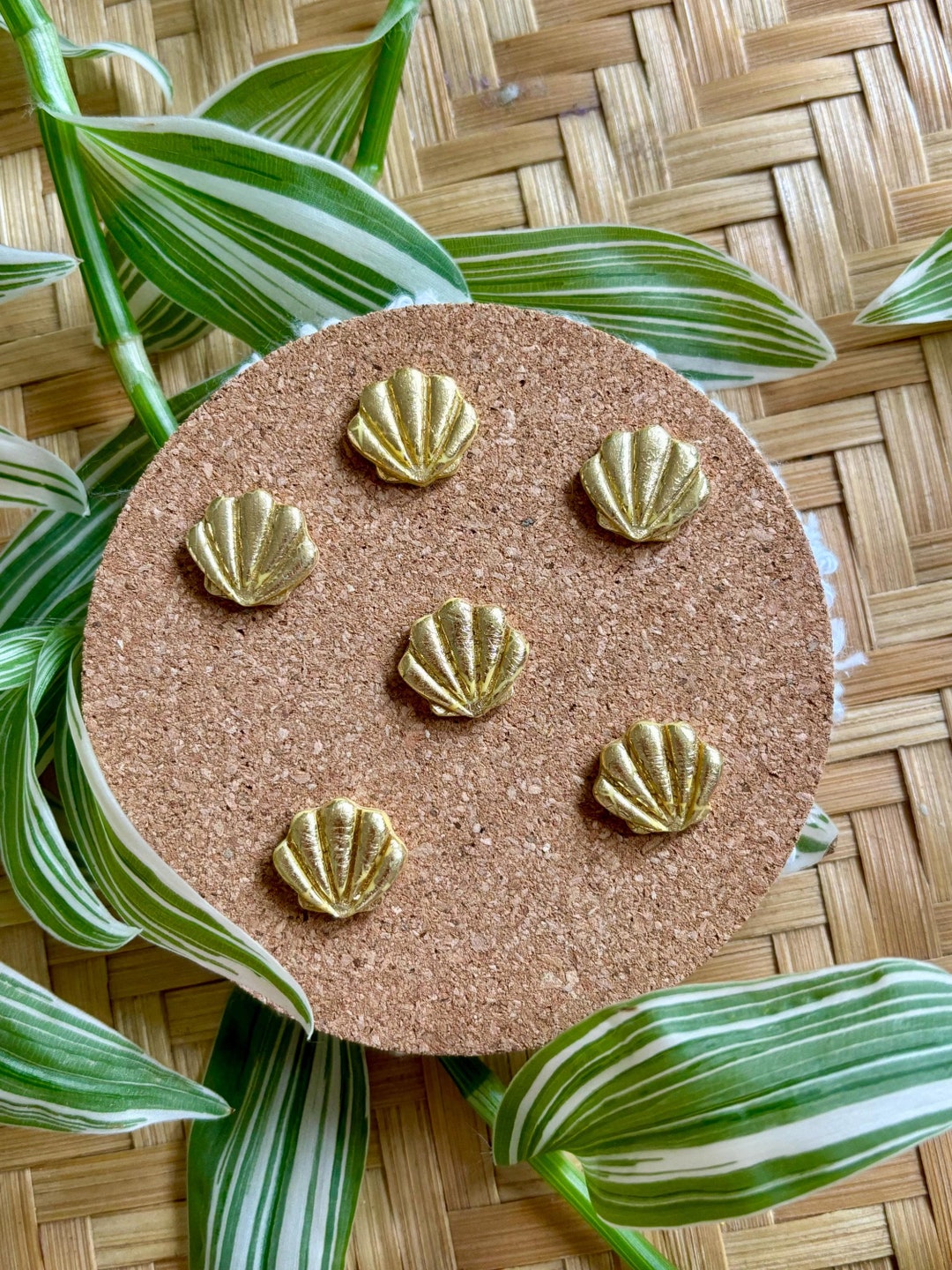 Goldleaf Clam Shell Magnets or Drawing Pins - Etsy