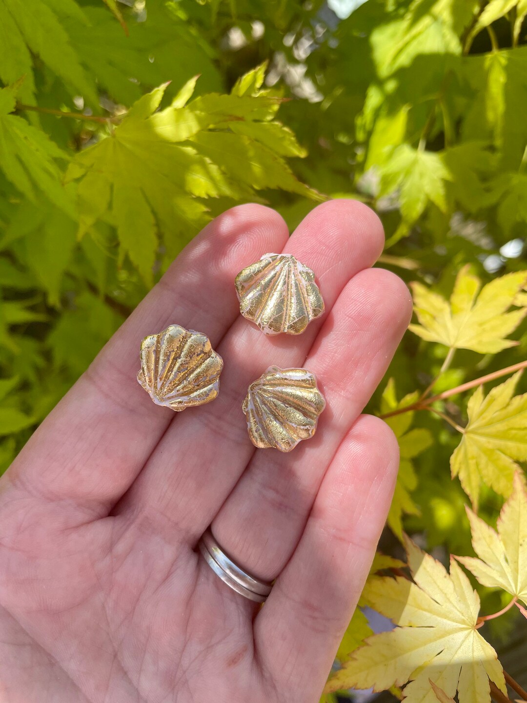 Goldleaf Clam Shell Magnets or Drawing Pins - Etsy
