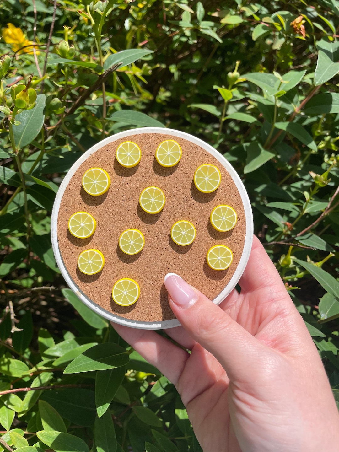 Lemon Slice Magnets or Drawing Pins - Etsy