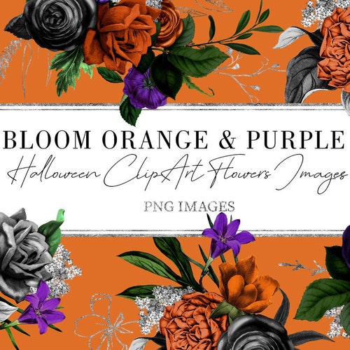 Halloween Shabby Floral Clip Art Black and Orange Digital - Etsy