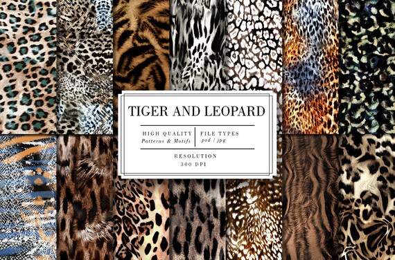Tiger Prints Patterns