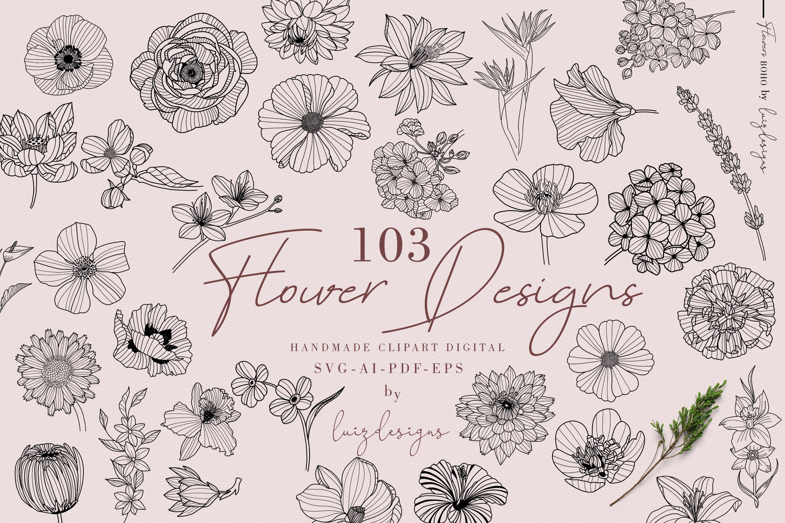 Botanical Svg Floral Svg Flower Svg Botanical Clipart - Etsy Australia