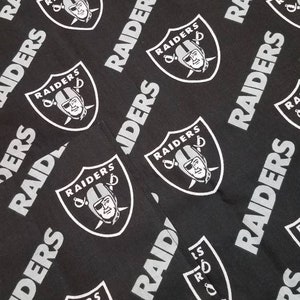 NFL Las Vegas Raiders Football Adult Sized Cotton Apron. (print May ...