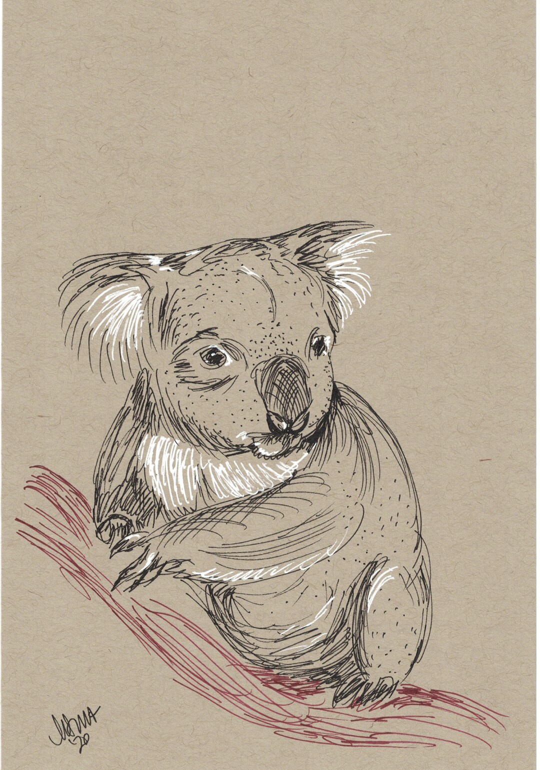 Original Pen and Ink Drawing, Koala - Etsy