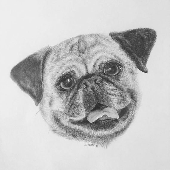Pug Drawing Pug Portrait Original Art | Etsy