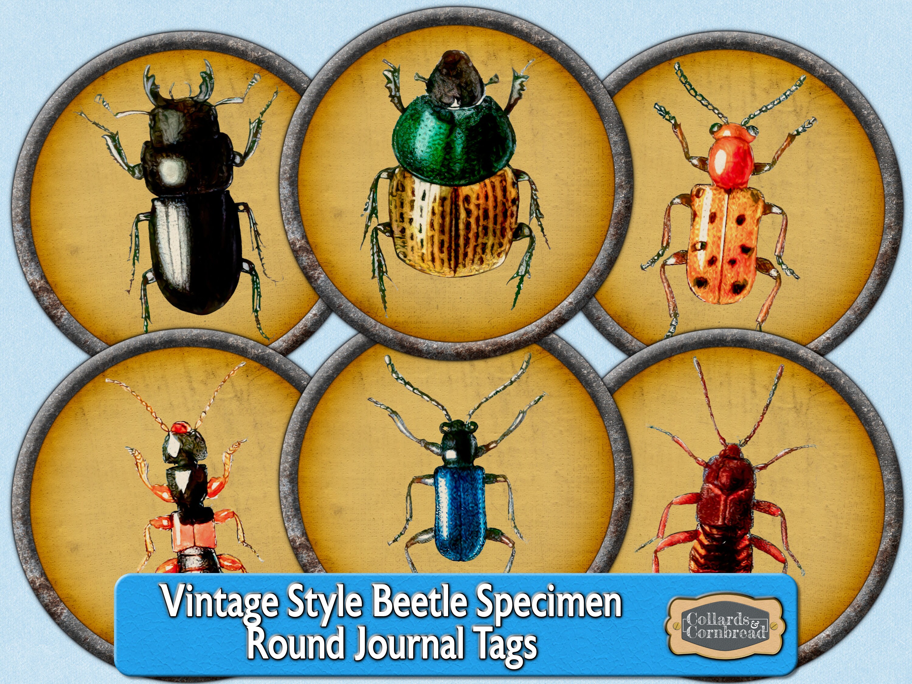 Aged & Grunged Round Beetle Tags Printable Digital Download Ephemera ...